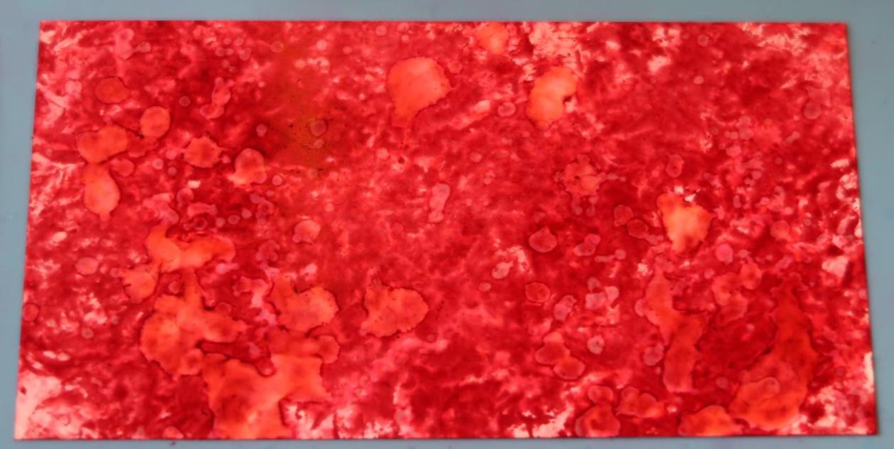 How to Use Many Types of Ink on Yupo Paper | Imagine Blog